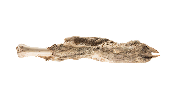 1,600-Year-Old Flute and Key Unearthed | World Cultural Heritage Voices
